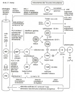 Les maladies auto-immunes - Médecine Intégrée