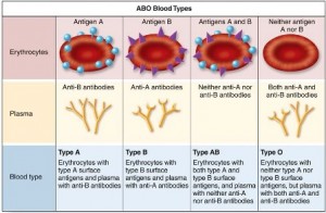 Groupes sanguin / typage HLA - Médecine Intégrée