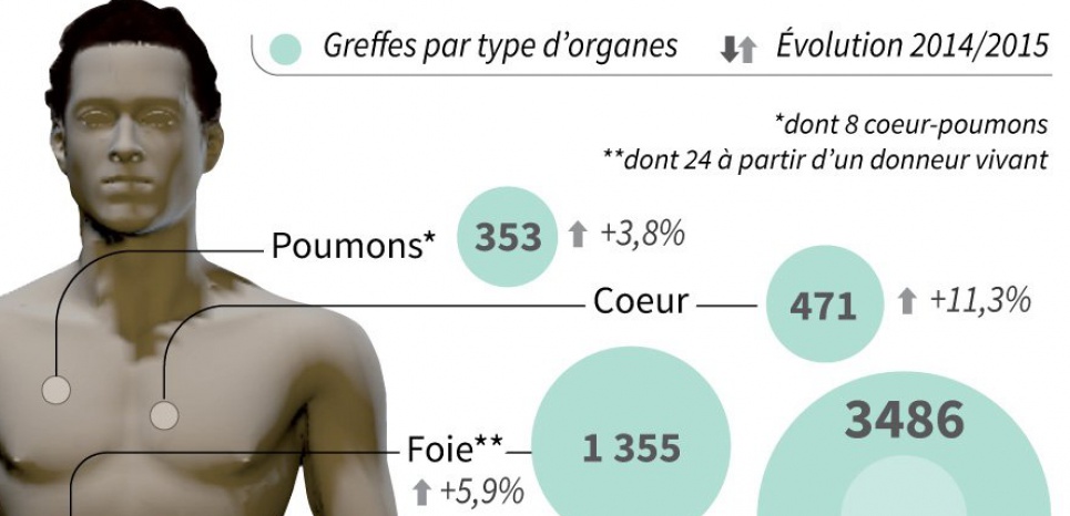 Après la greffe ... - Médecine Intégrée