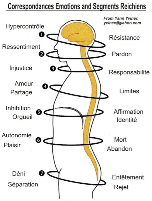 Méthode de Libération des Cuirasses - Médecine Intégrée