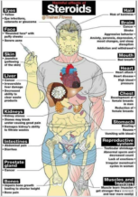 Le système endocrinien (MARIEB ch.16) - Médecine Intégrée