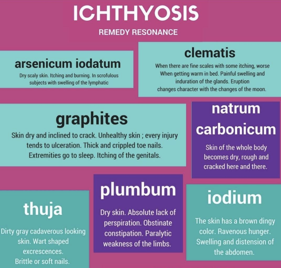 L'ichtyose - Médecine Intégrée