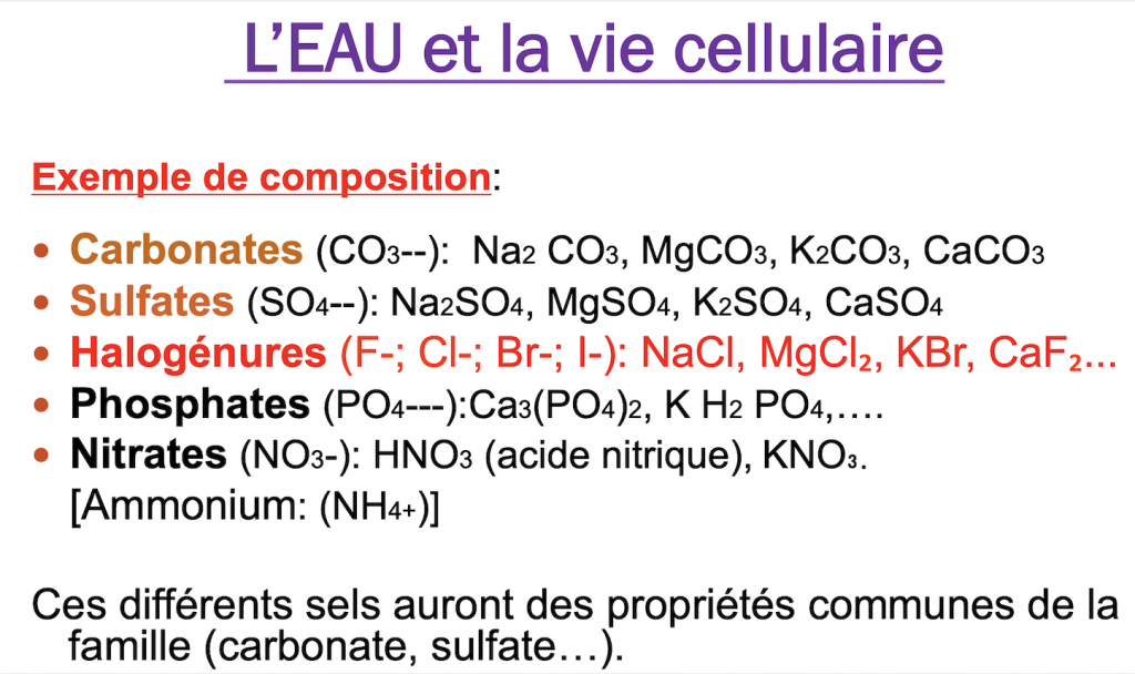 La table de Mendeleïev (Marieb ch.2A) - Médecine Intégrée