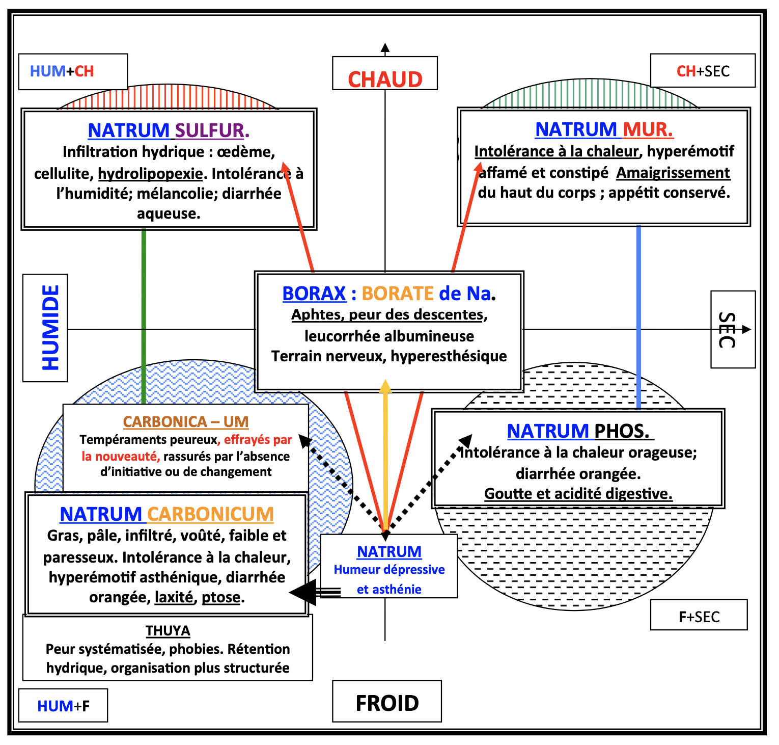 Natrum mur. & les natrum - Médecine Intégrée