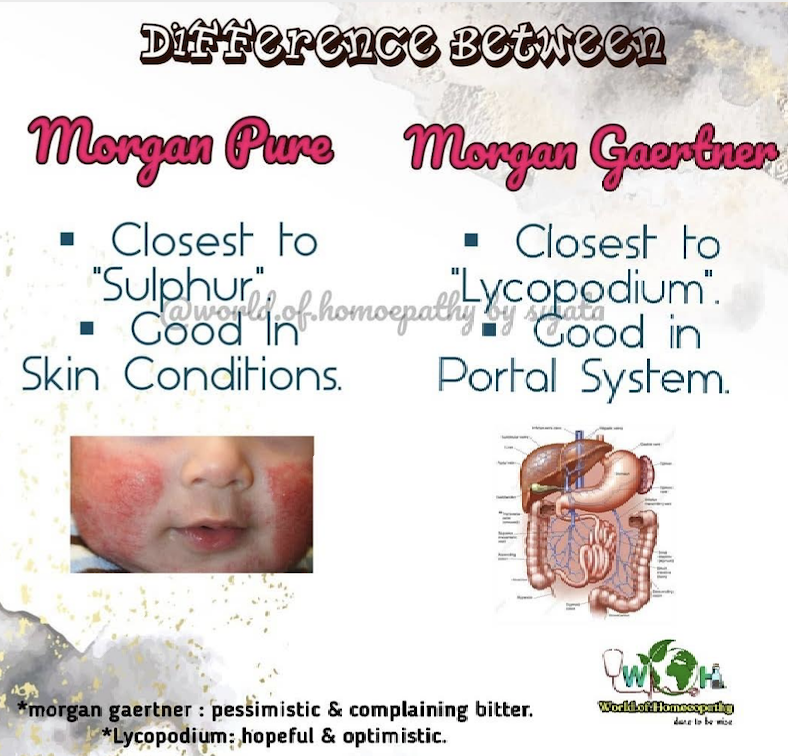 Les nosodes intestinaux de Bach - Médecine Intégrée