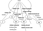 1ème année d'homéopathie : 8ème séminaire = la Sycose - Médecine Intégrée