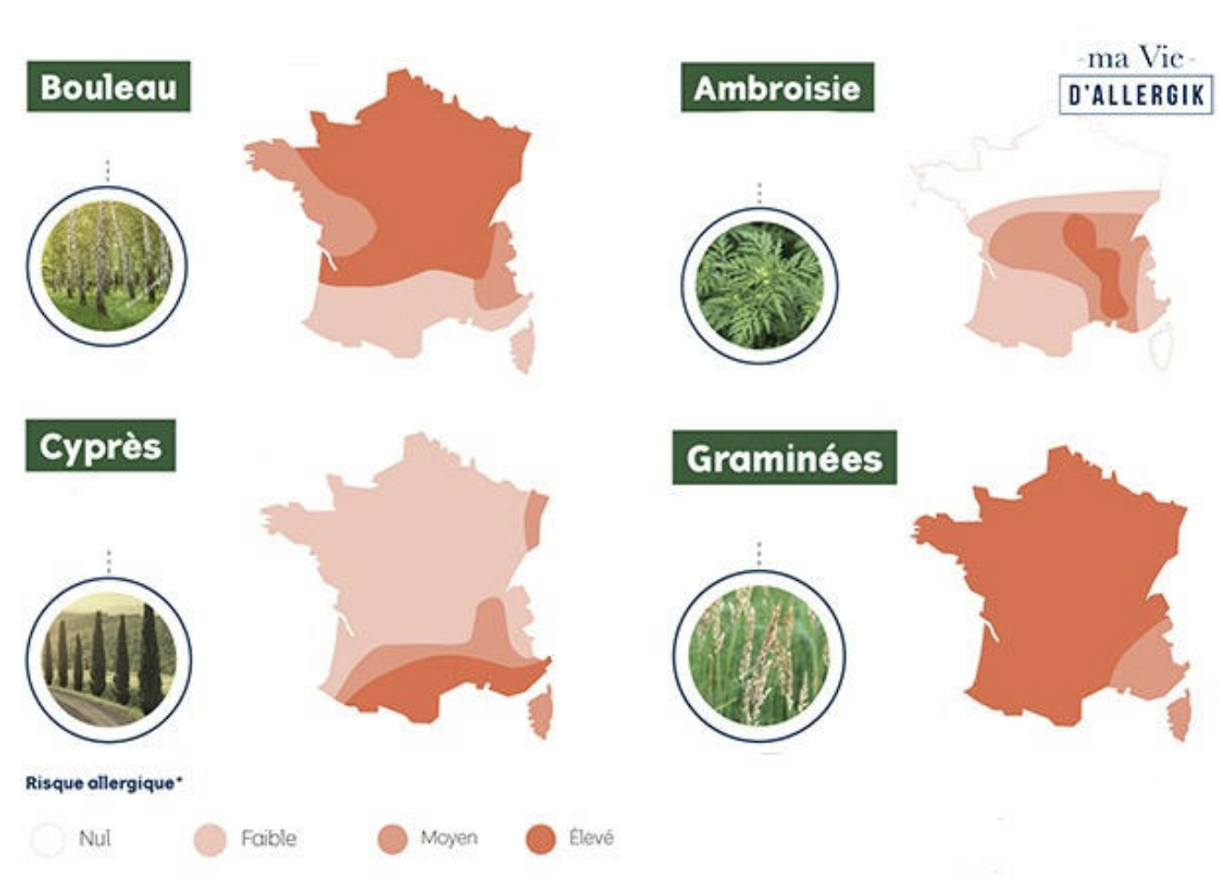 Pollinose - Médecine Intégrée