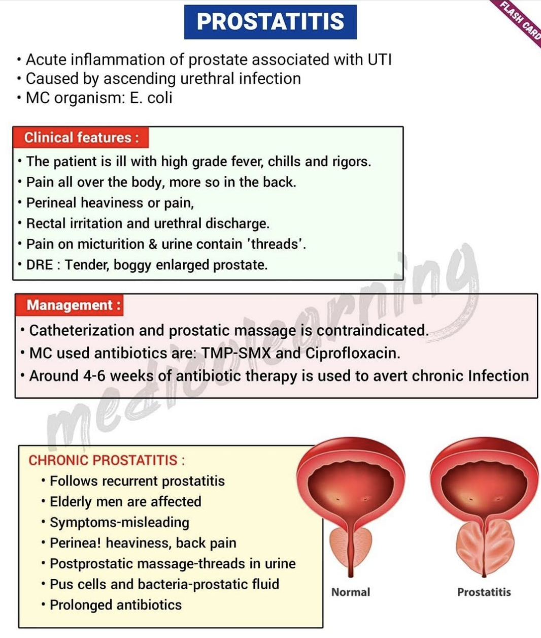 Uréthrite - Prostatite - Médecine Intégrée
