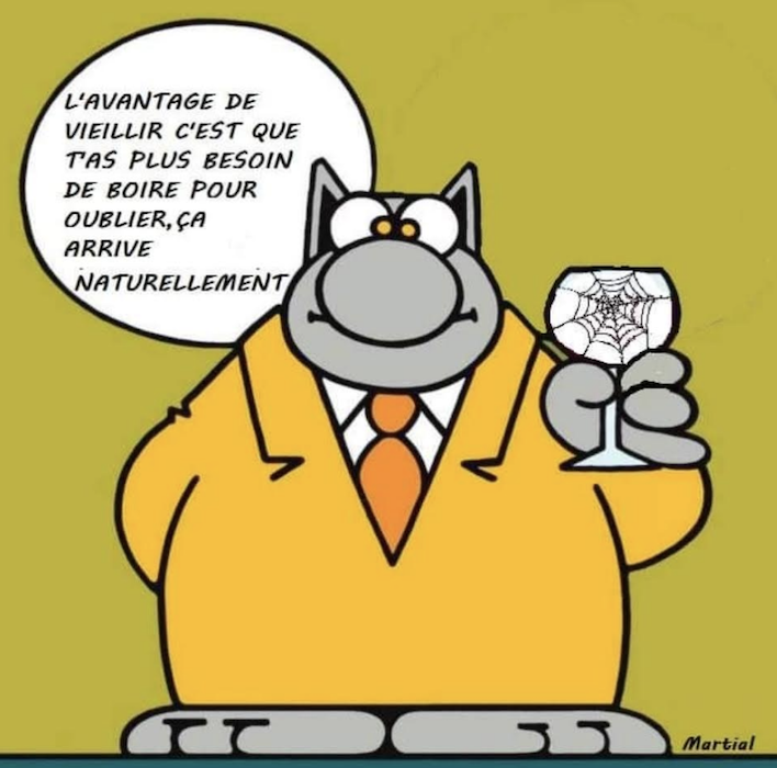 Mémoire - Médecine Intégrée