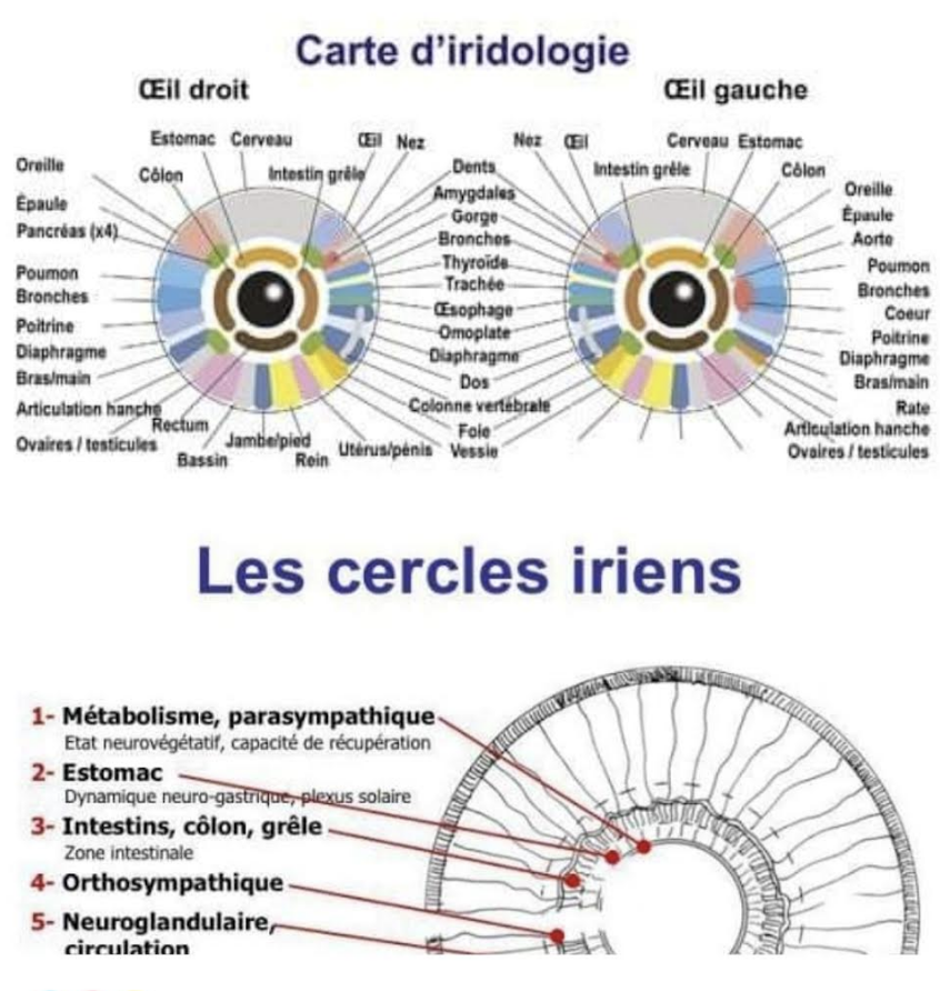 L'iridologie - Médecine Intégrée