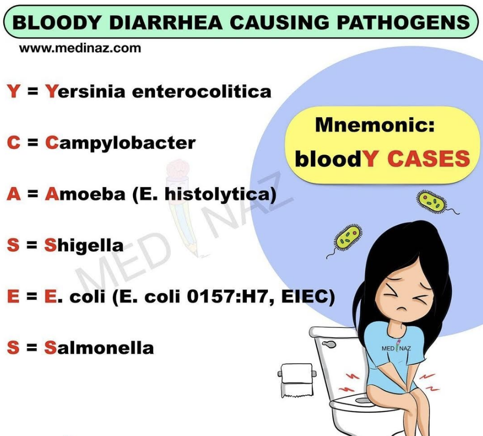 Diarrhées infectieuses et dysenteries - Médecine Intégrée