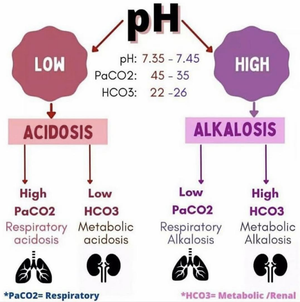 Pleuro-pulmonaire (Sémiologie chap.2) - Médecine Intégrée