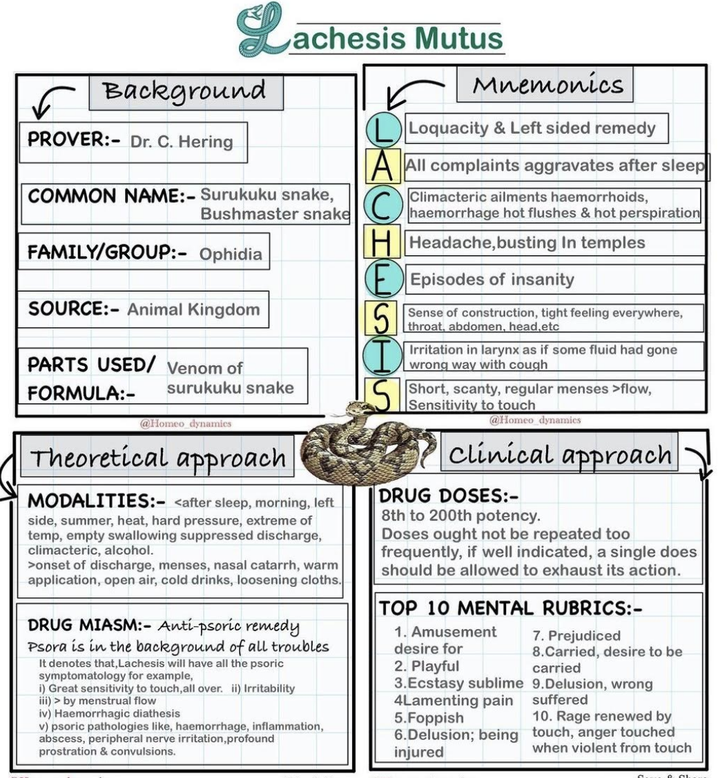 Lachesis mutus - Médecine Intégrée