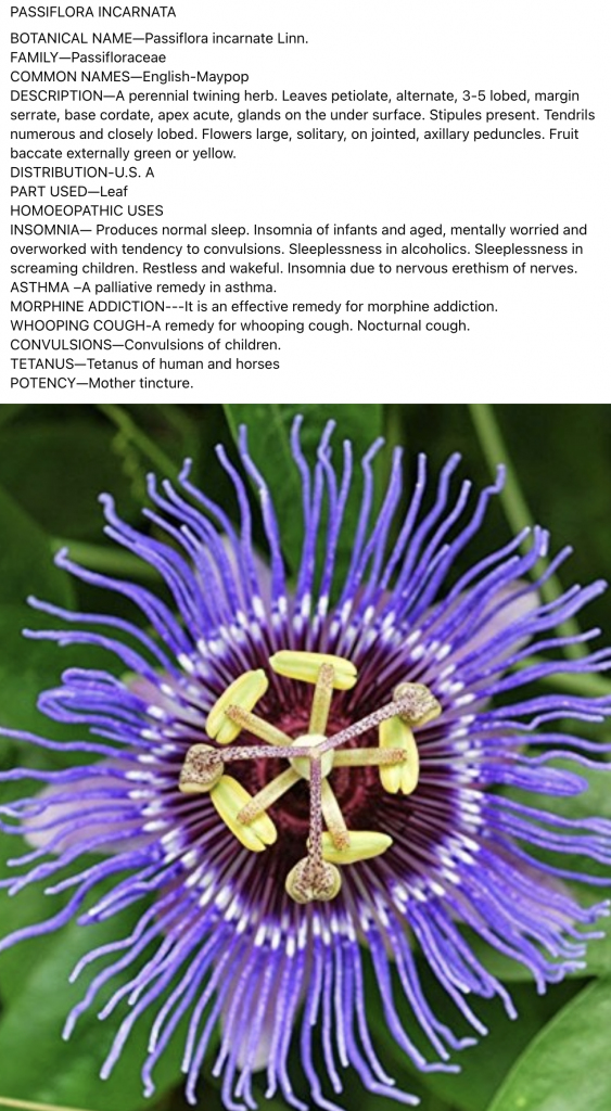 Passiflora - Médecine Intégrée