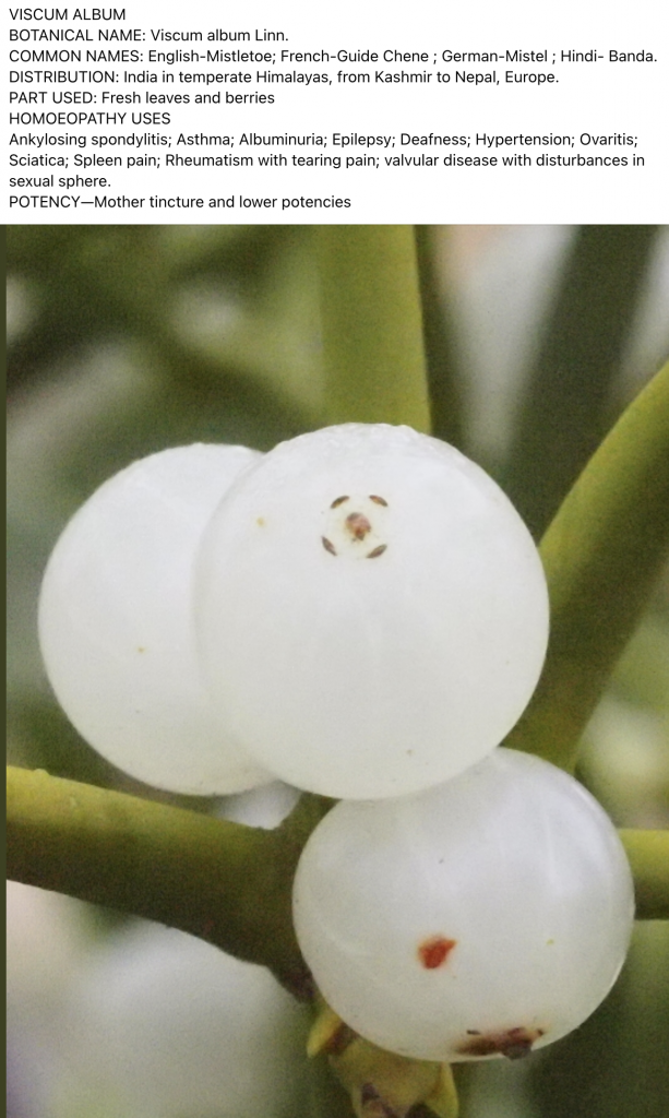 Viscum - Médecine Intégrée