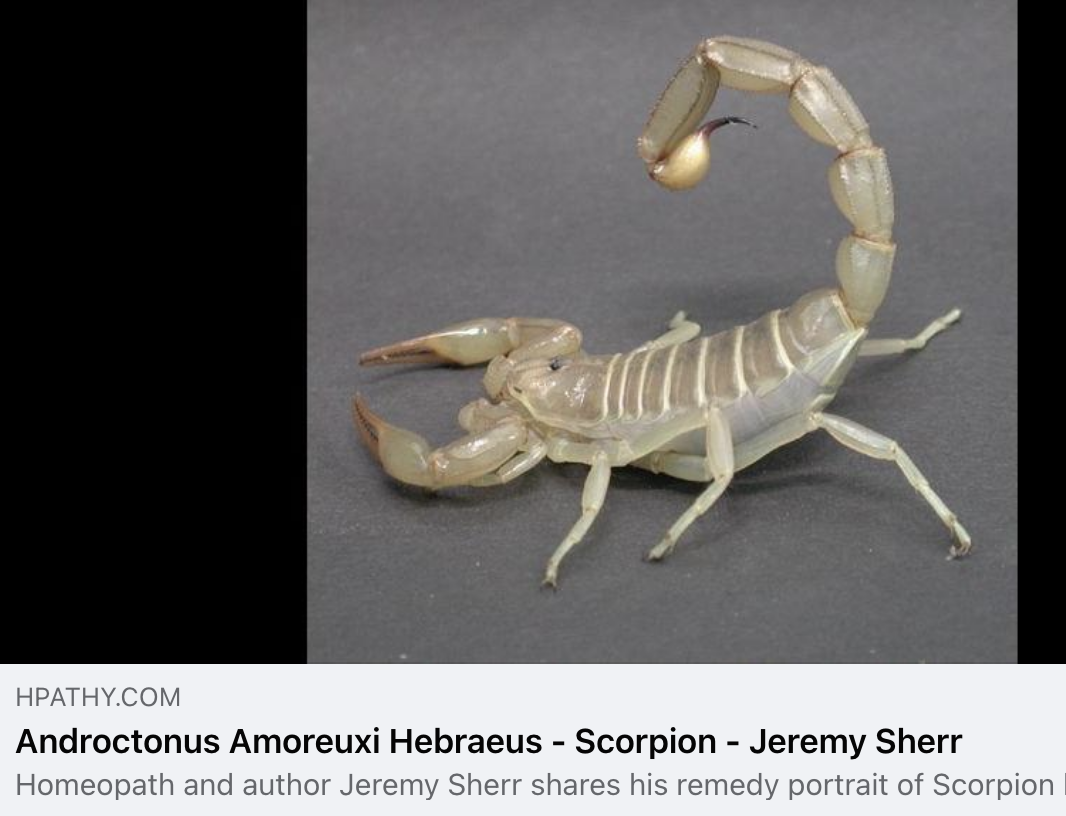 Les scorpions - Médecine Intégrée