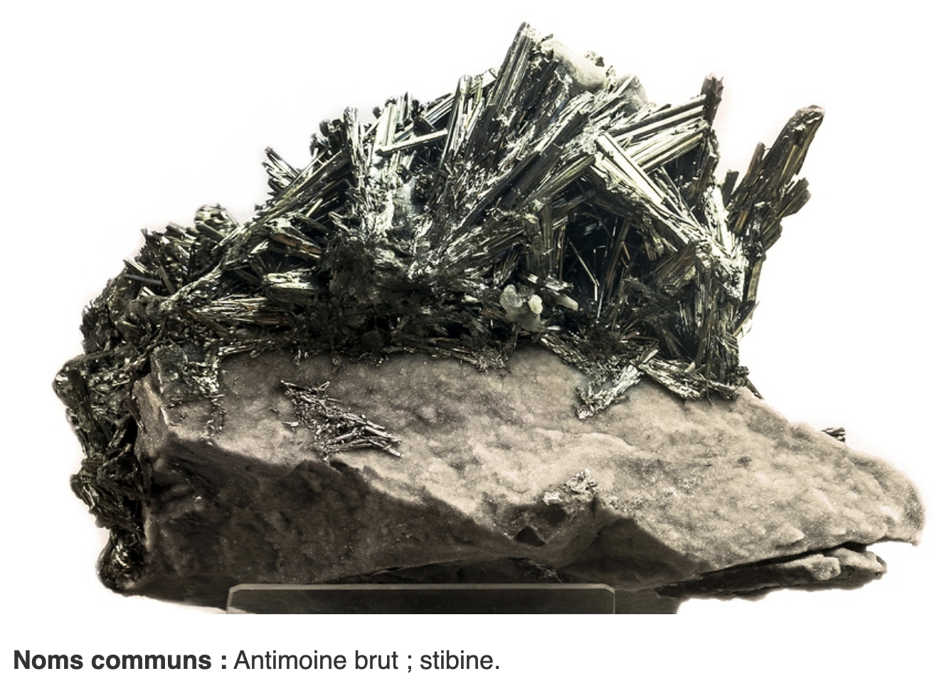 Antimonium - Médecine Intégrée