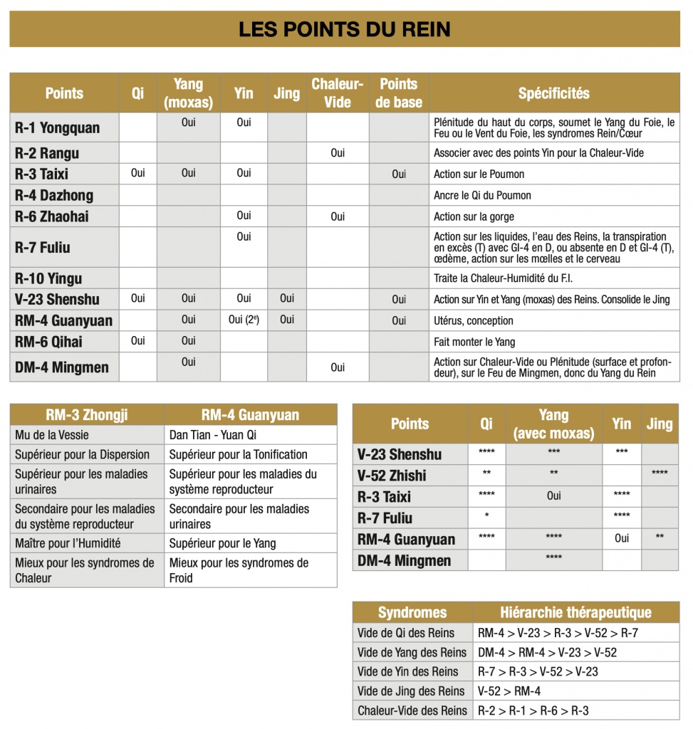 Méridien du Rein - Médecine Intégrée