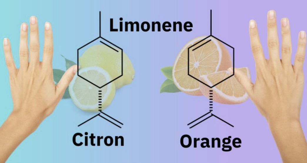 Citrus - Médecine Intégrée