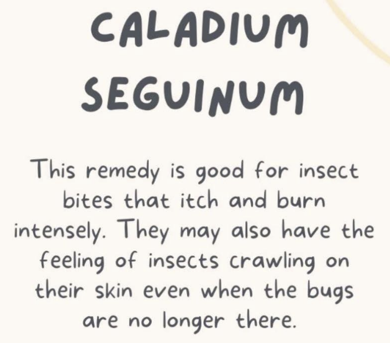 1ème année d'homéopathie : 8ème séminaire = la Sycose - Médecine Intégrée