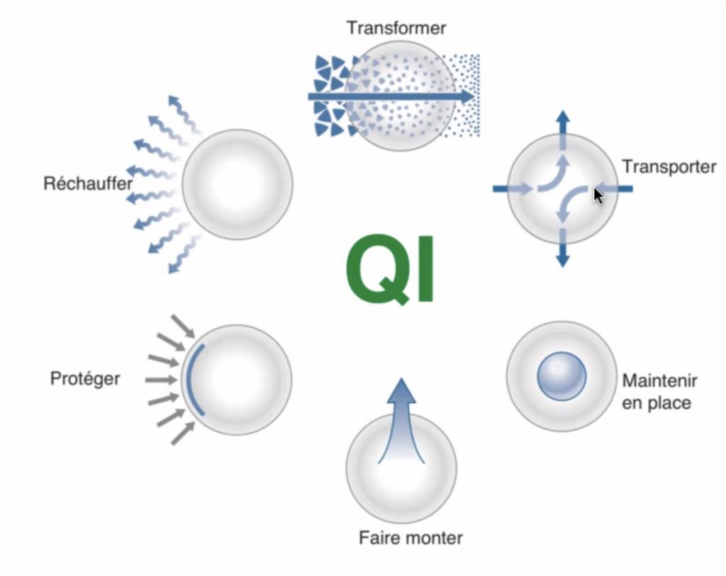 Le Qi - Médecine Intégrée