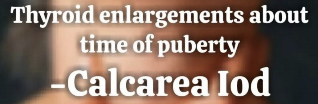 1ème année d'homéopathie : 8ème séminaire = la Sycose - Médecine Intégrée