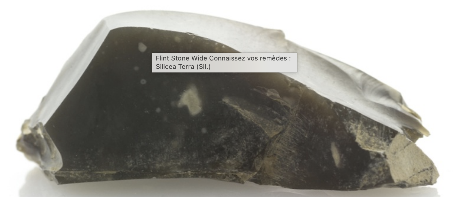 Silicea - Médecine Intégrée