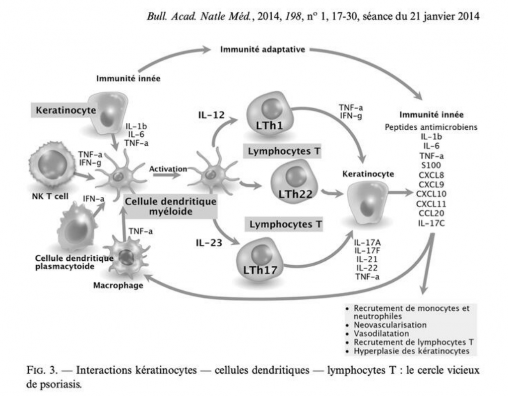 Psoriasis - Médecine Intégrée