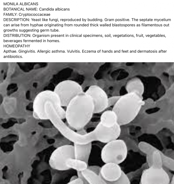 1ème année d'homéopathie : 7ème séminaire = l'adaptation - Médecine ...