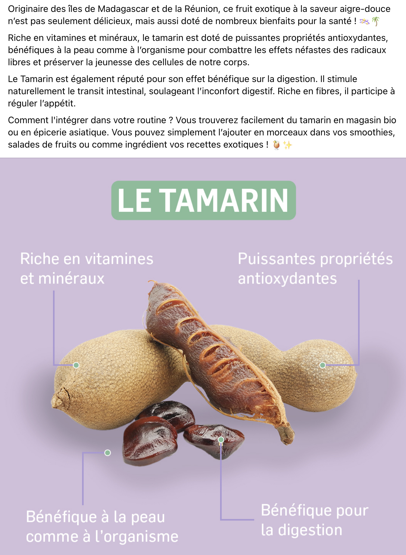 Tamarindus indica - Médecine Intégrée
