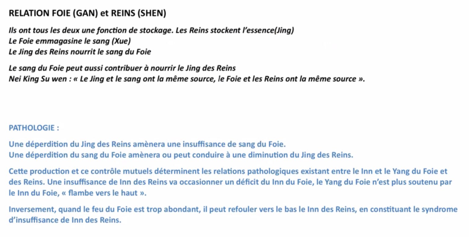 Méridien du Foie - Médecine Intégrée