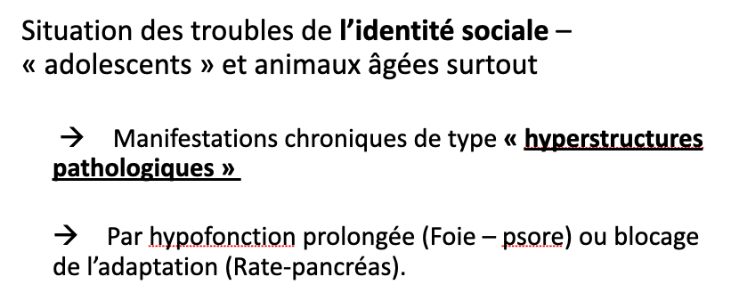 Remèdes du pôle coeur (sycose) - Médecine Intégrée