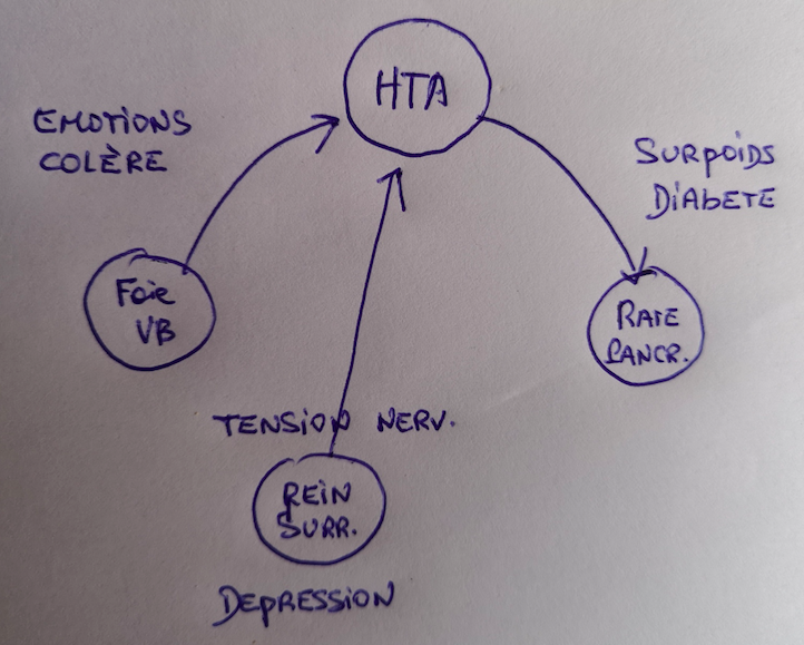 L'hypertension artérielle (HTA) - Médecine Intégrée