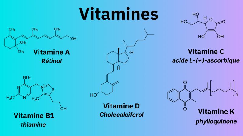 Généralités sur les vitamines - Médecine Intégrée