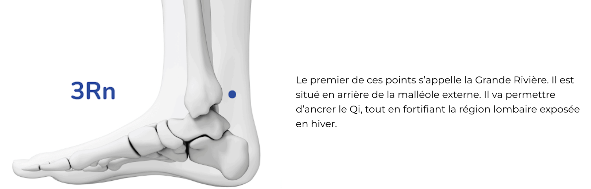 Méridien du Rein - Médecine Intégrée
