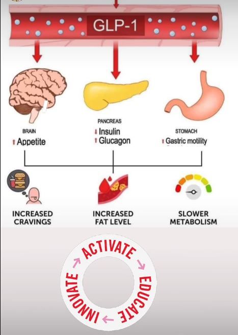 Le GLP-1 et le sémaglutide - Médecine Intégrée