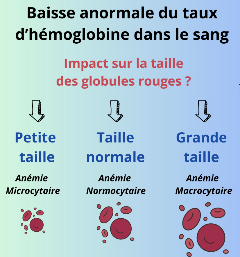Anémies - Médecine Intégrée