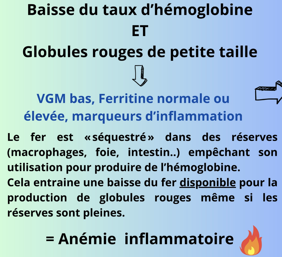 Anémies - Médecine Intégrée