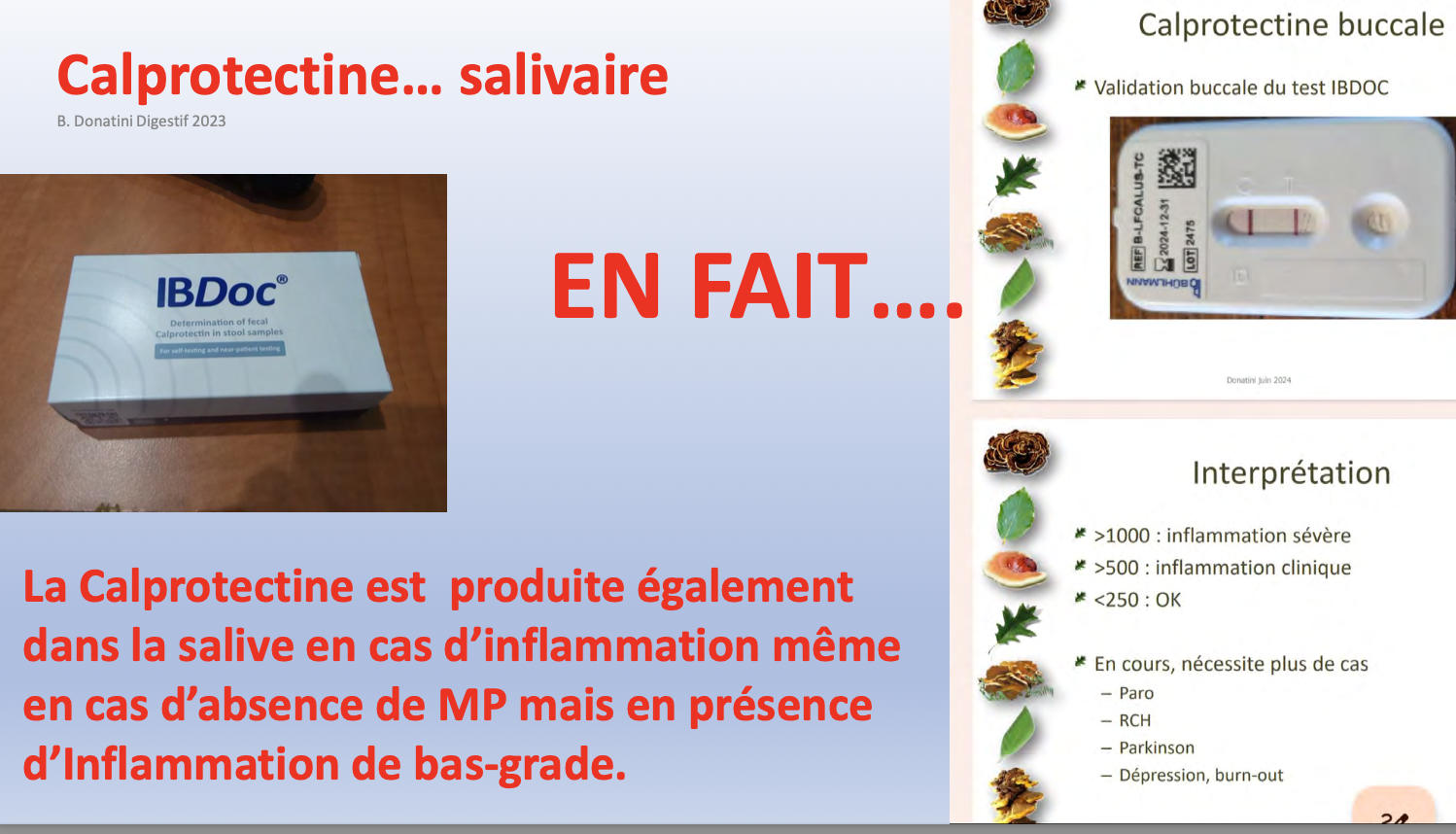 Calprotectine - Médecine Intégrée