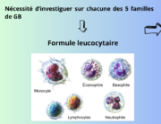 Numération-formule - Médecine Intégrée