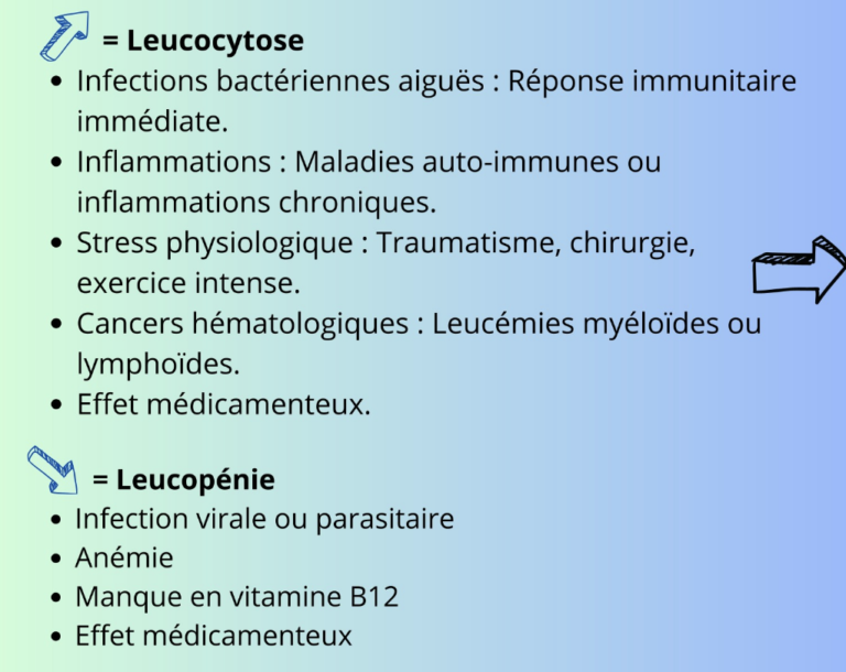 Numération-formule - Médecine Intégrée