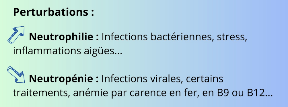 Numération-formule - Médecine Intégrée