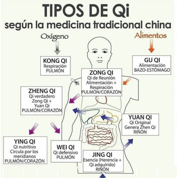 Le Qi - Médecine Intégrée